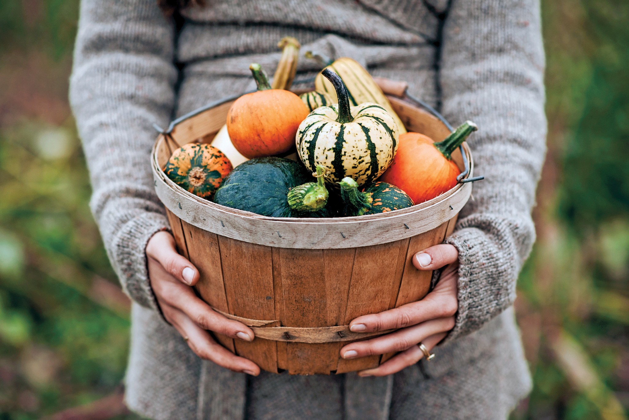 These Local Farms Have Everything You Need for an At-Home Thanksgiving ...