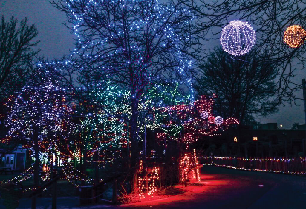 Roger Williams Park Zoo Holiday Lights Spectacular - Rhode Island Monthly