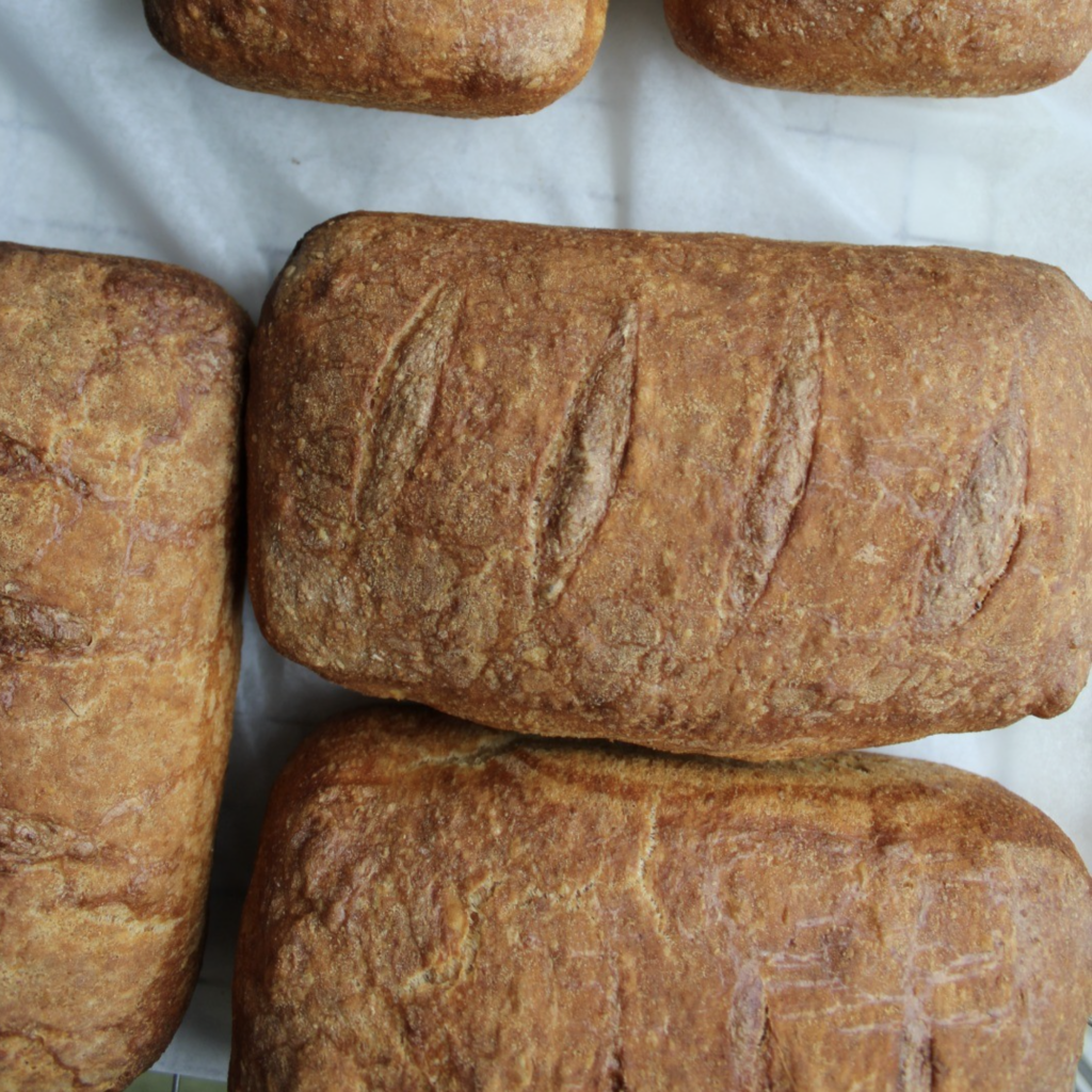 Grab Fresh Bread, Seasonal Treats and More at Mapleville Farm - Rhode ...