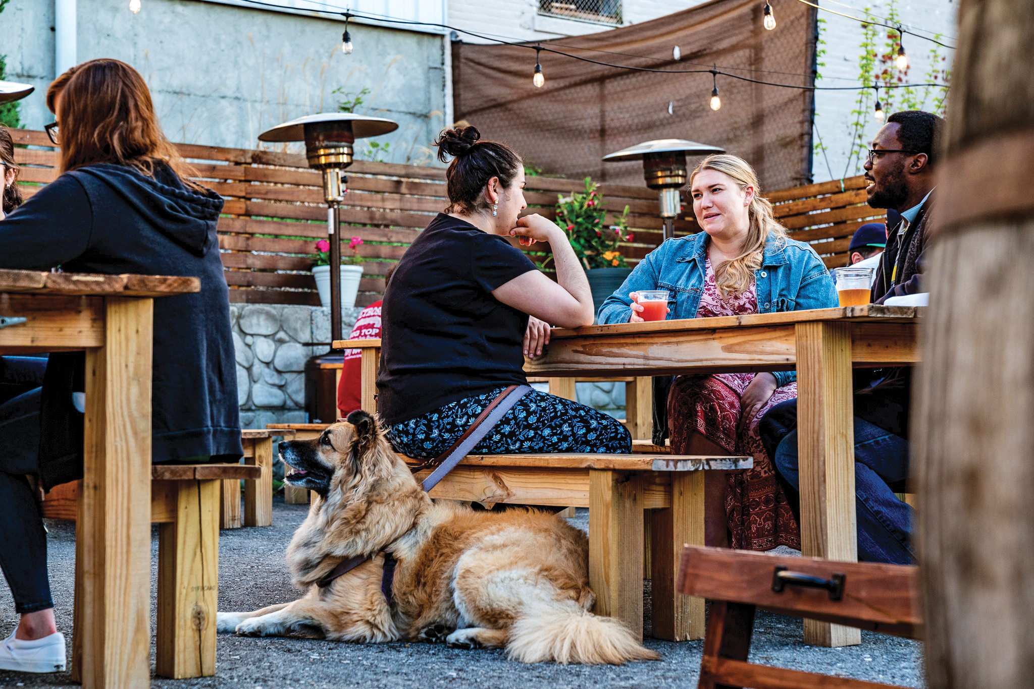 14 Dog-Friendly Breweries in Rhode Island - Rhode Island Monthly