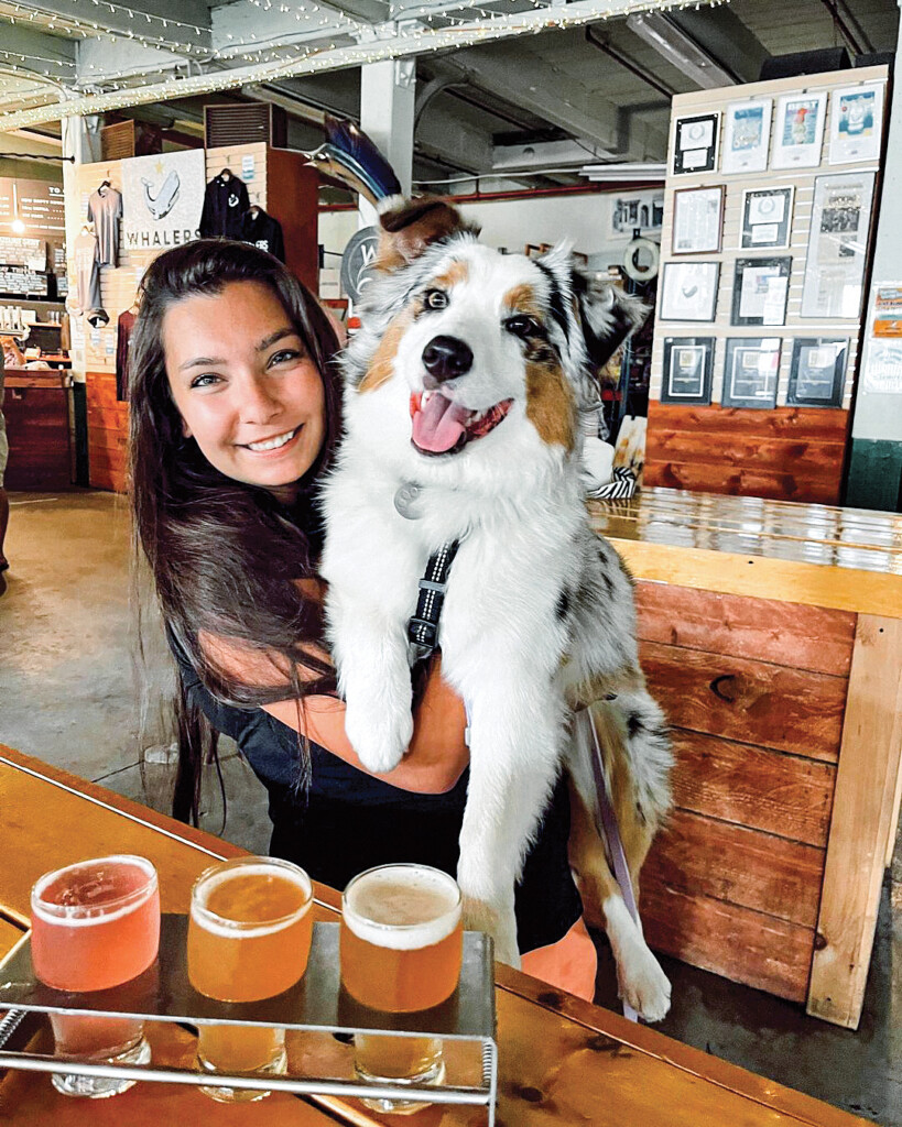 14 Dog-Friendly Breweries in Rhode Island - Rhode Island Monthly