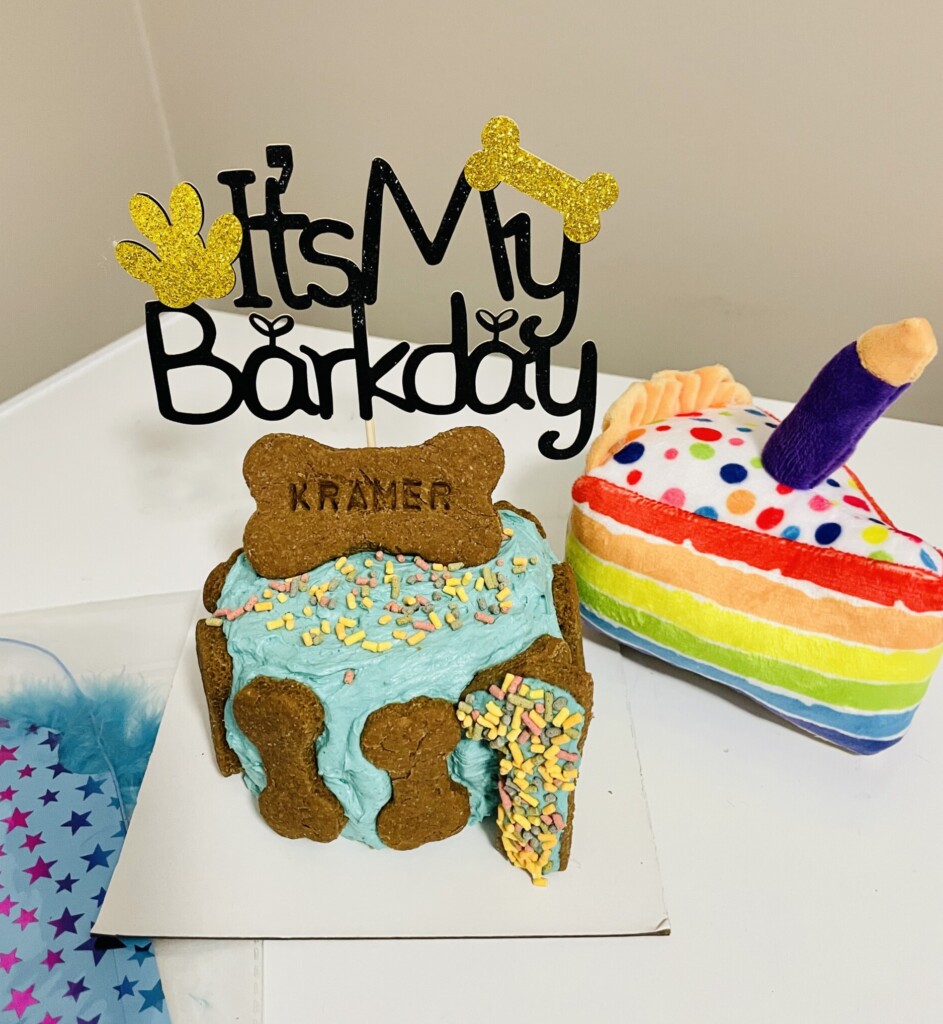 Power Pup Treats Bakes Fun and Healthy Goodies for Your Pet - Rhode ...