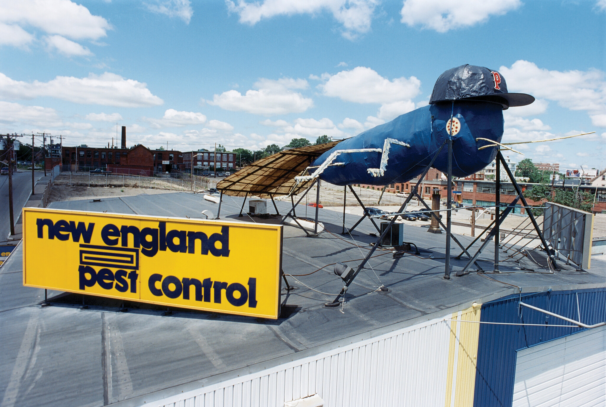 A Big Blue Bug’s Life - Rhode Island Monthly