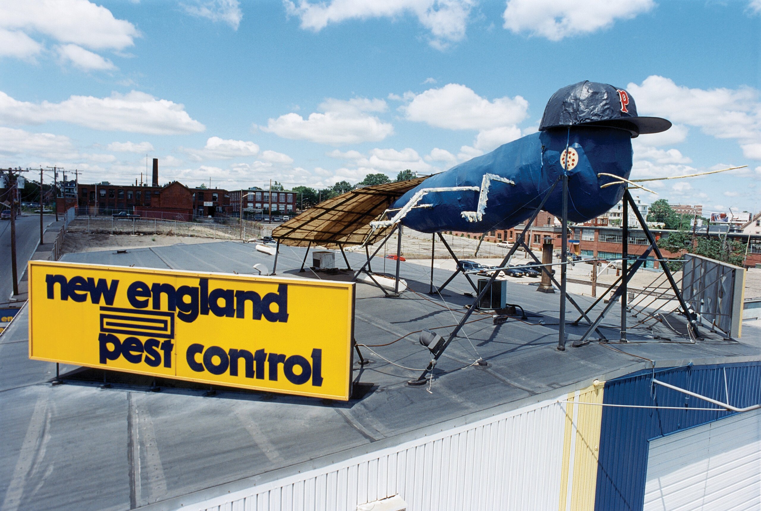 A Big Blue Bug’s Life - Rhode Island Monthly