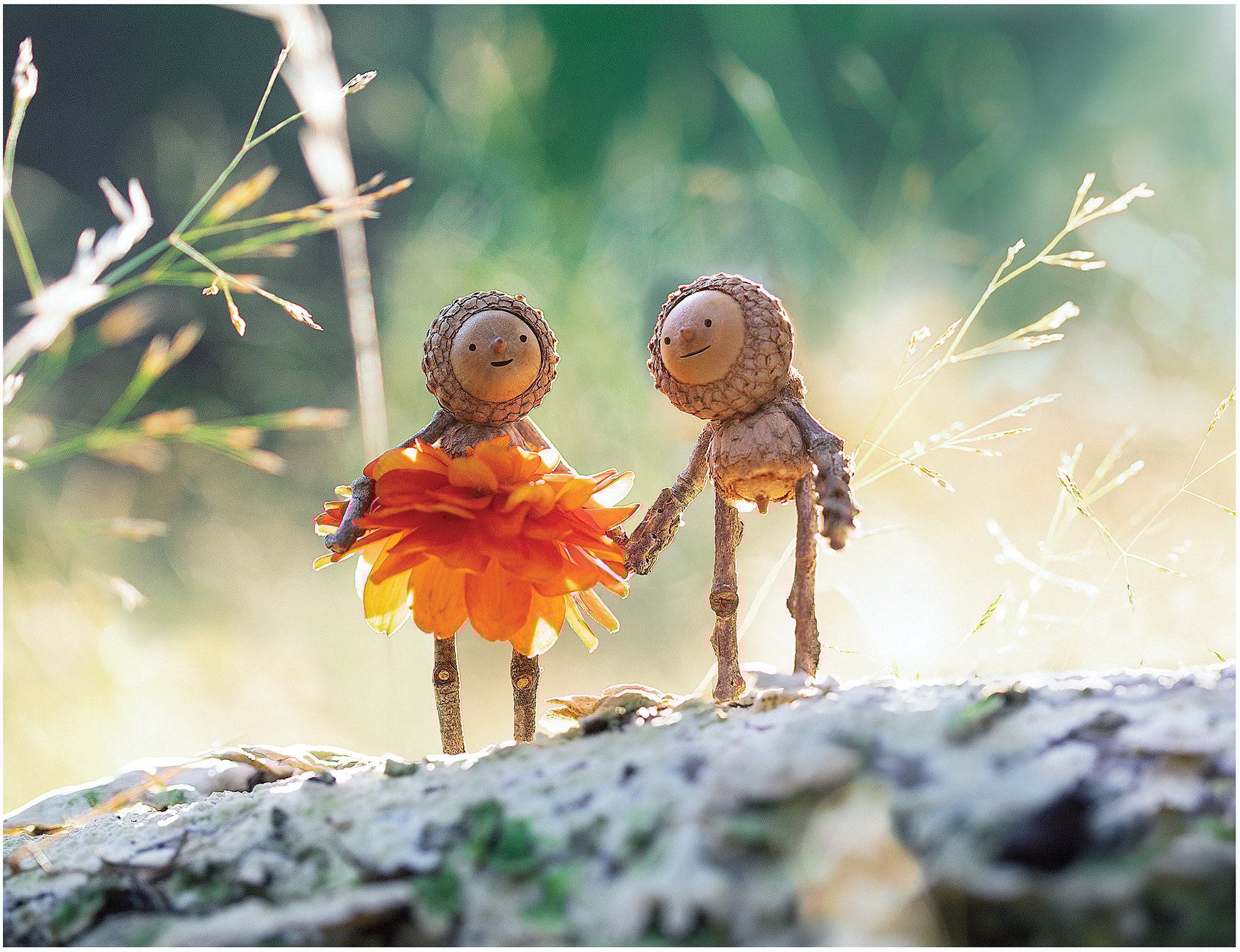 A Glimpse into the Whimsical World of Local Artist David Bird - Rhode ...