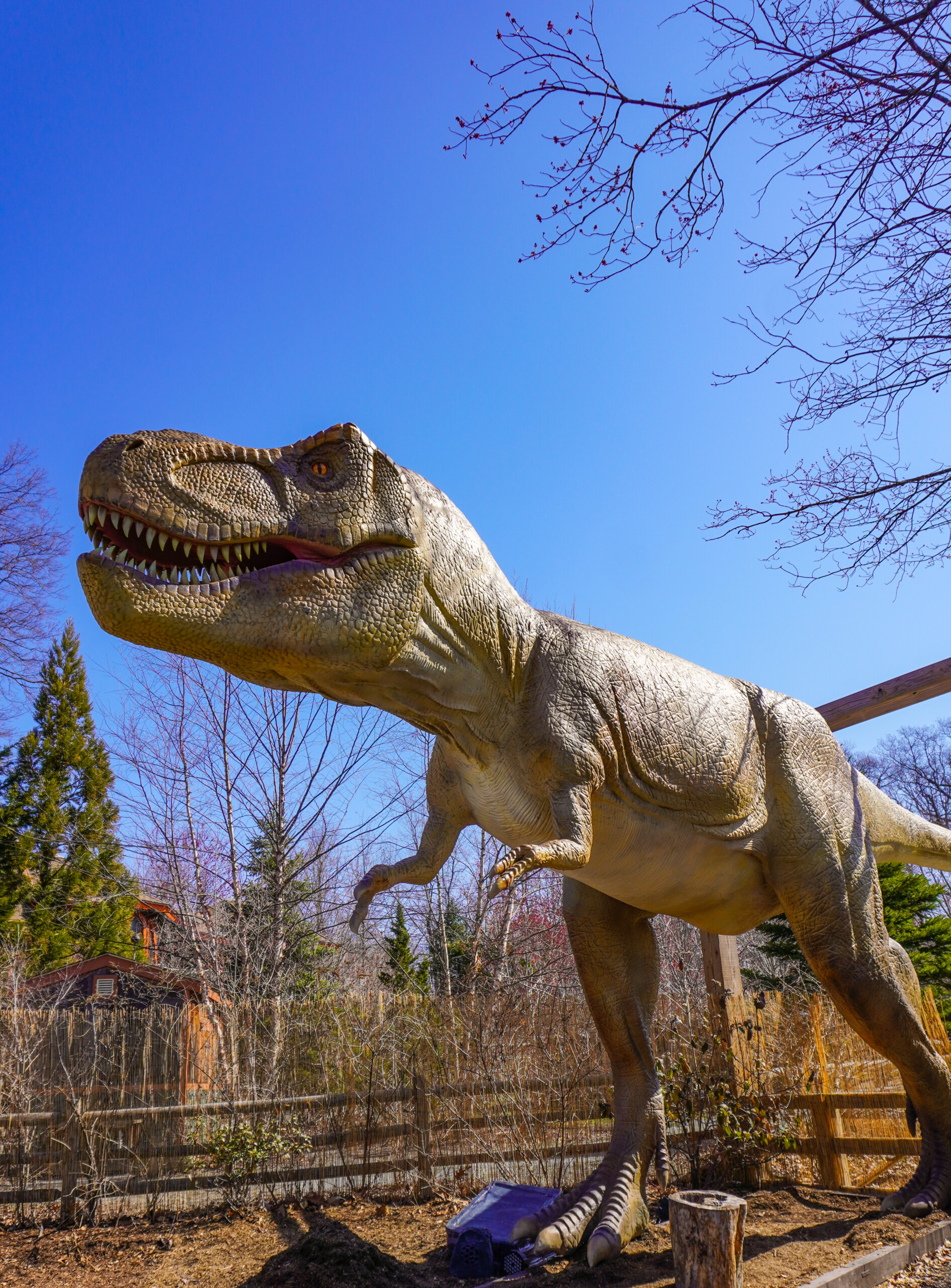 Dinosaurs are Back from Extinction at Roger Williams Park Zoo - Rhode ...