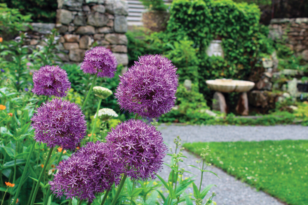 3 Luscious Rhode Island Gardens to Visit this Spring - Rhode Island Monthly