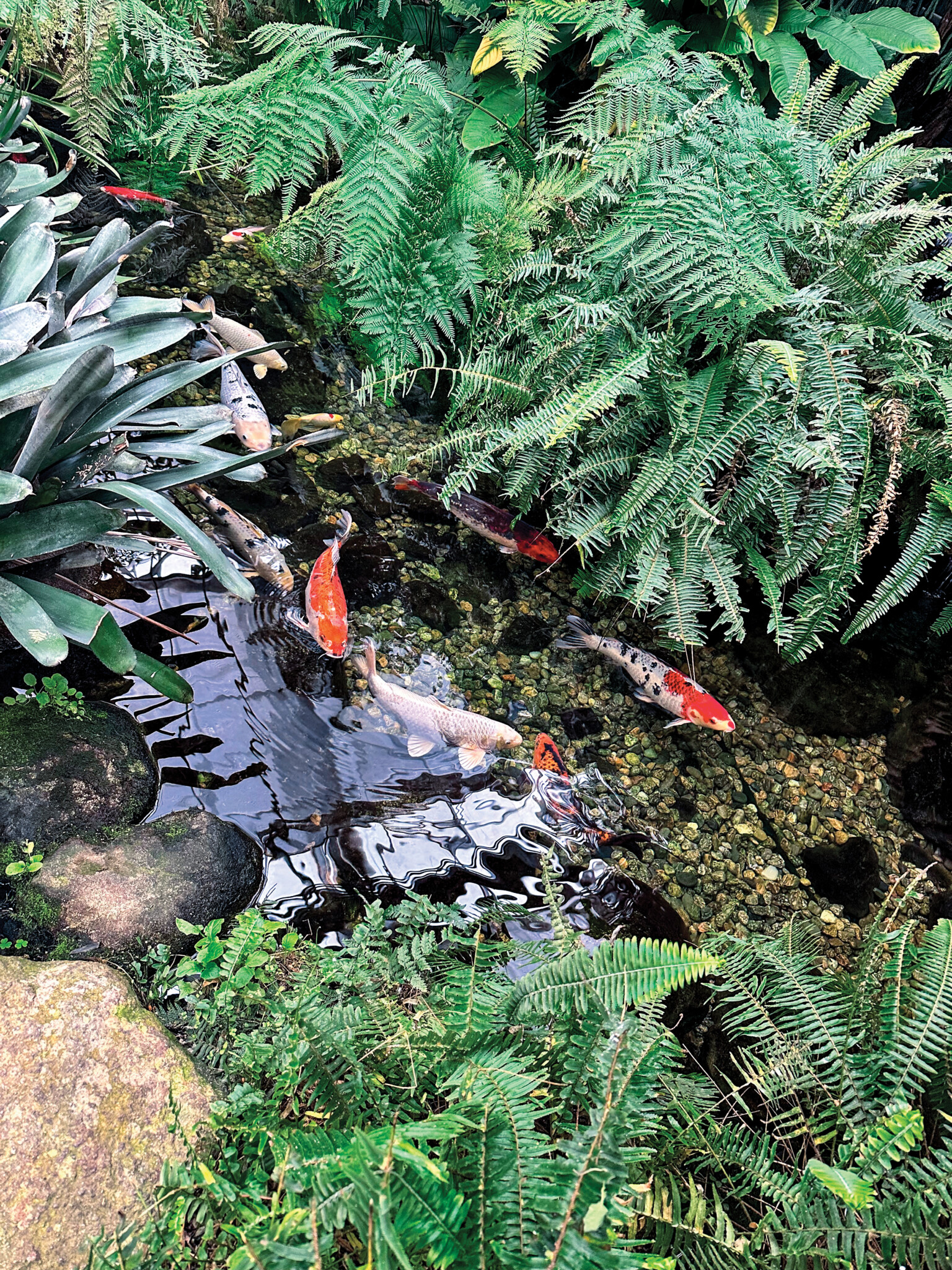 3 Luscious Rhode Island Gardens to Visit this Spring - Rhode Island Monthly