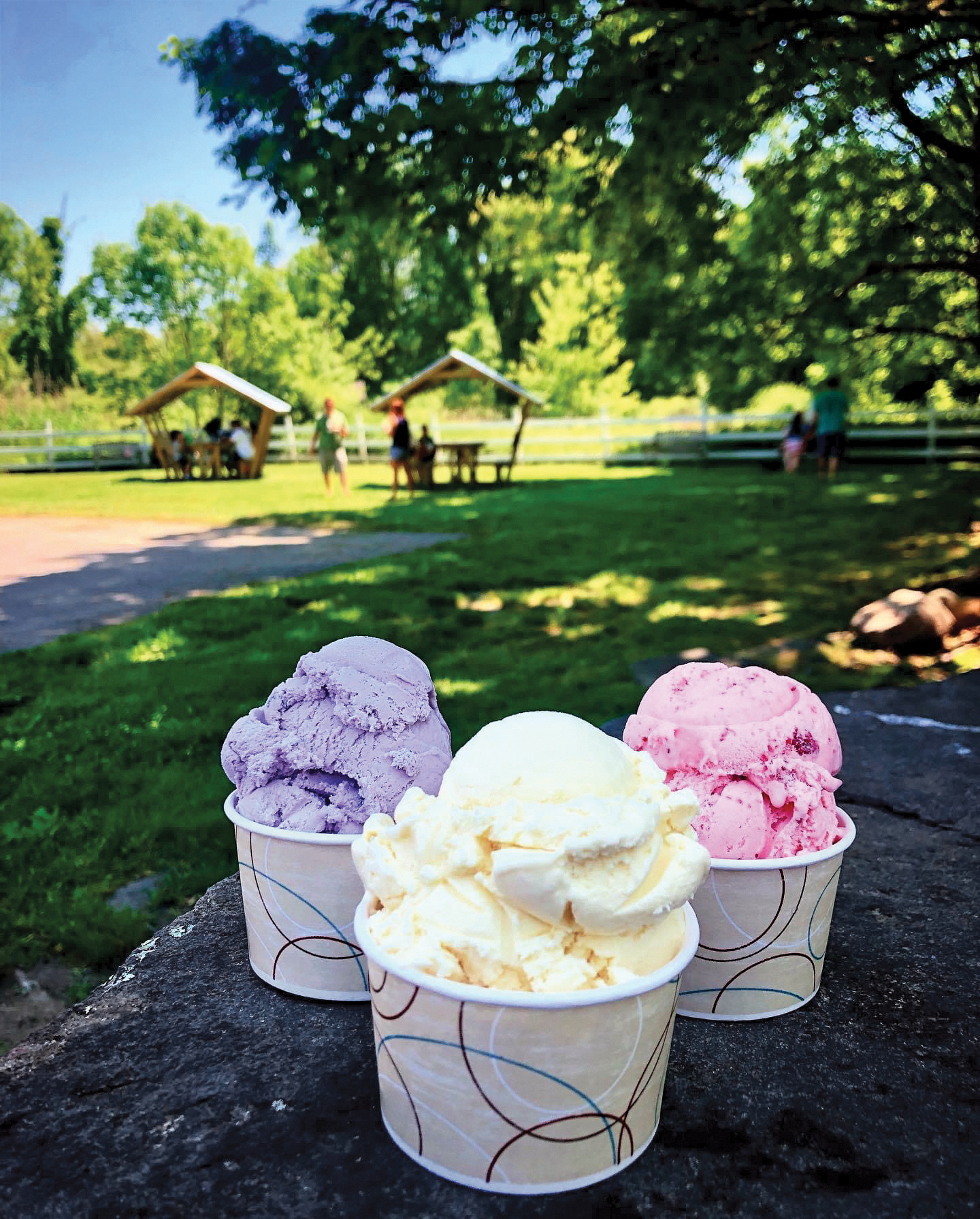 7 Rhode Island Ice Cream Spots to Hit Up this Summer - Rhode Island Monthly