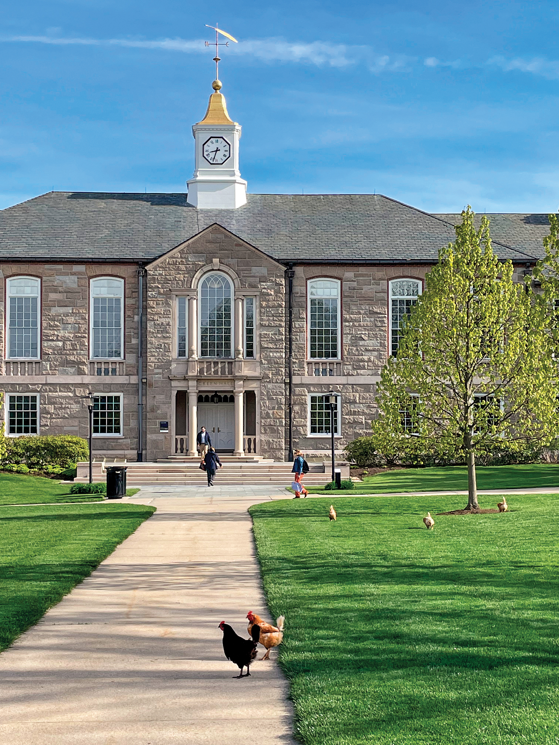 Meet the New Campus Chicks at URI - Rhode Island Monthly