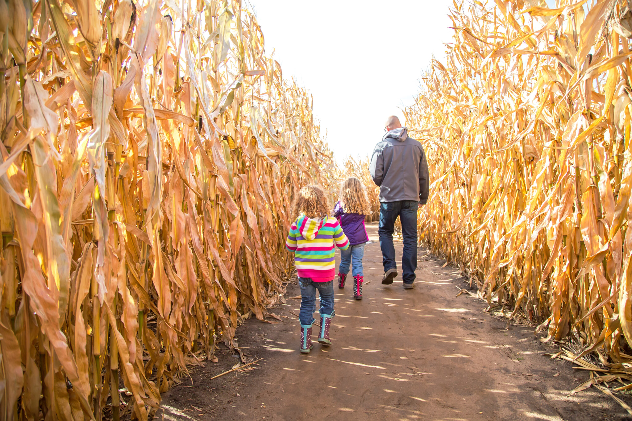 6 Corn Mazes to Explore in Rhode Island - Rhode Island Monthly