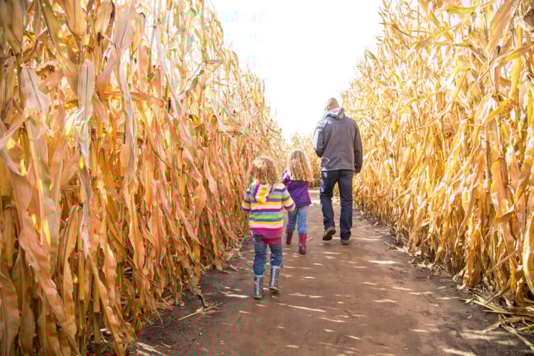 6 Corn Mazes to Explore in Rhode Island - Rhode Island Monthly