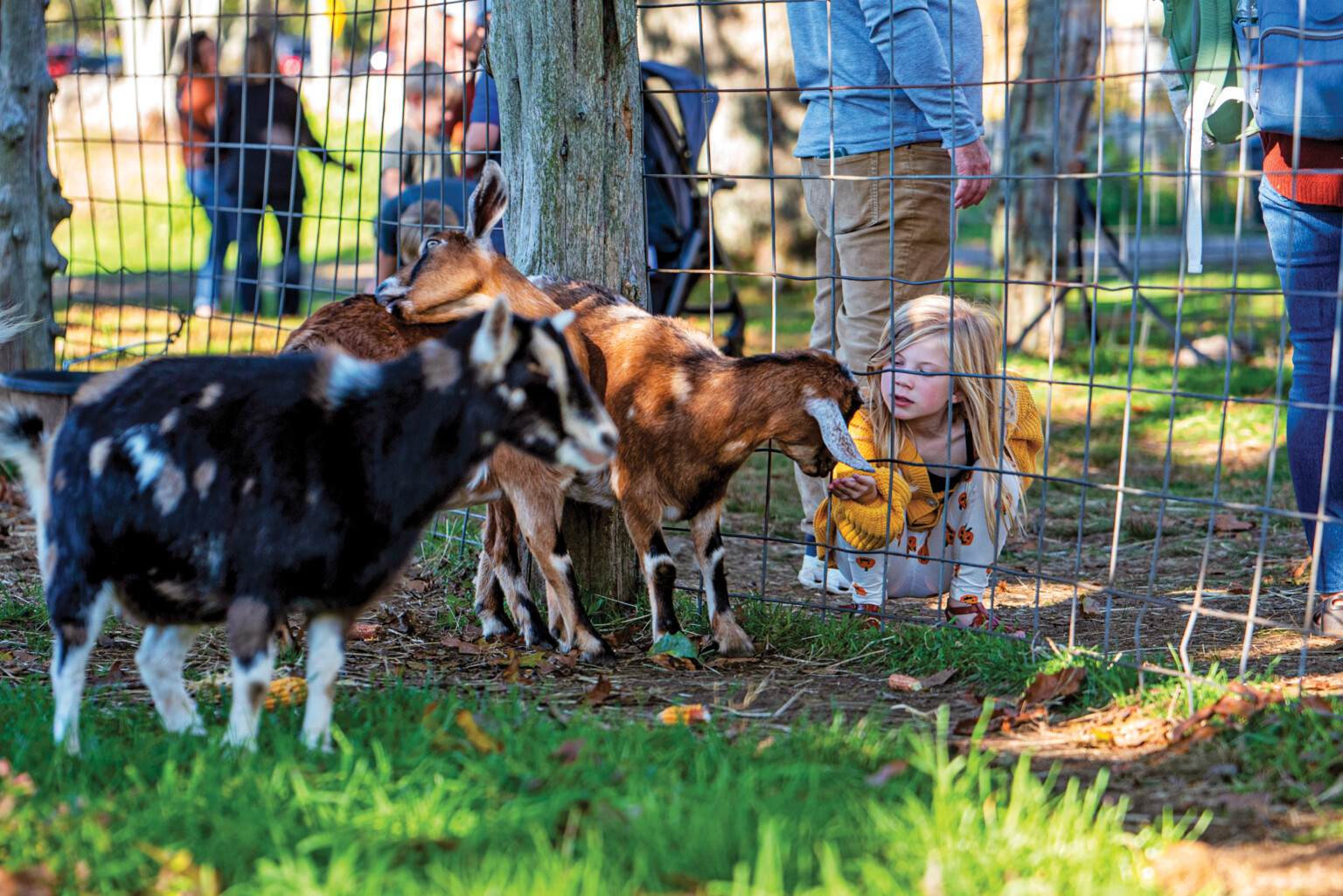 38 Fun Things to Do in Rhode Island this October - Rhode Island Monthly