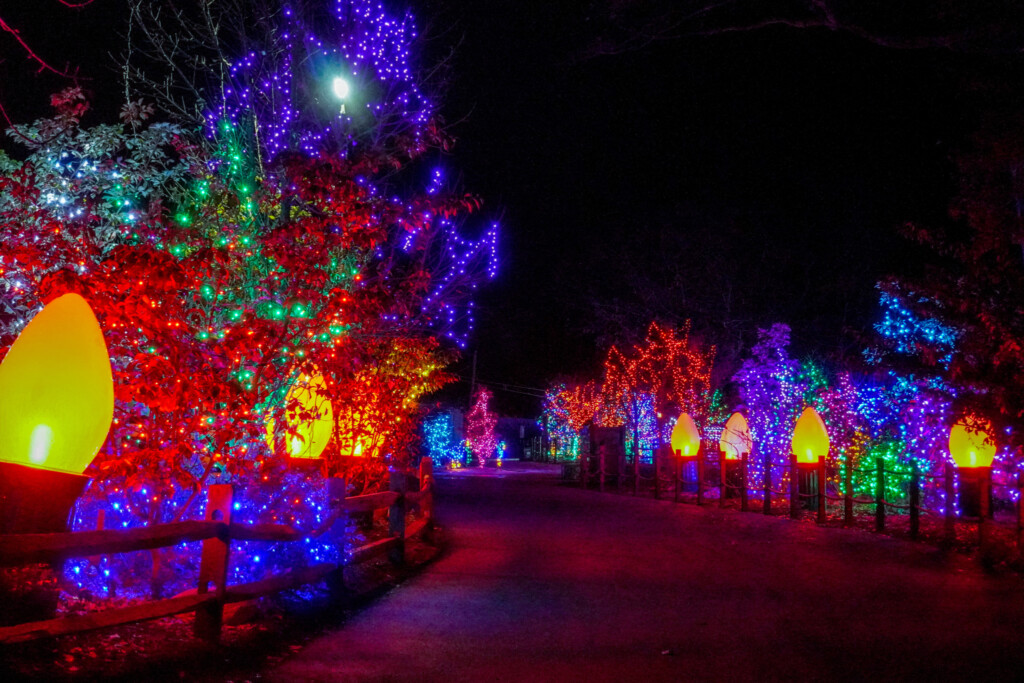 Roger Williams Park Zoo to Transform into Sparkling Winter Wonderland ...