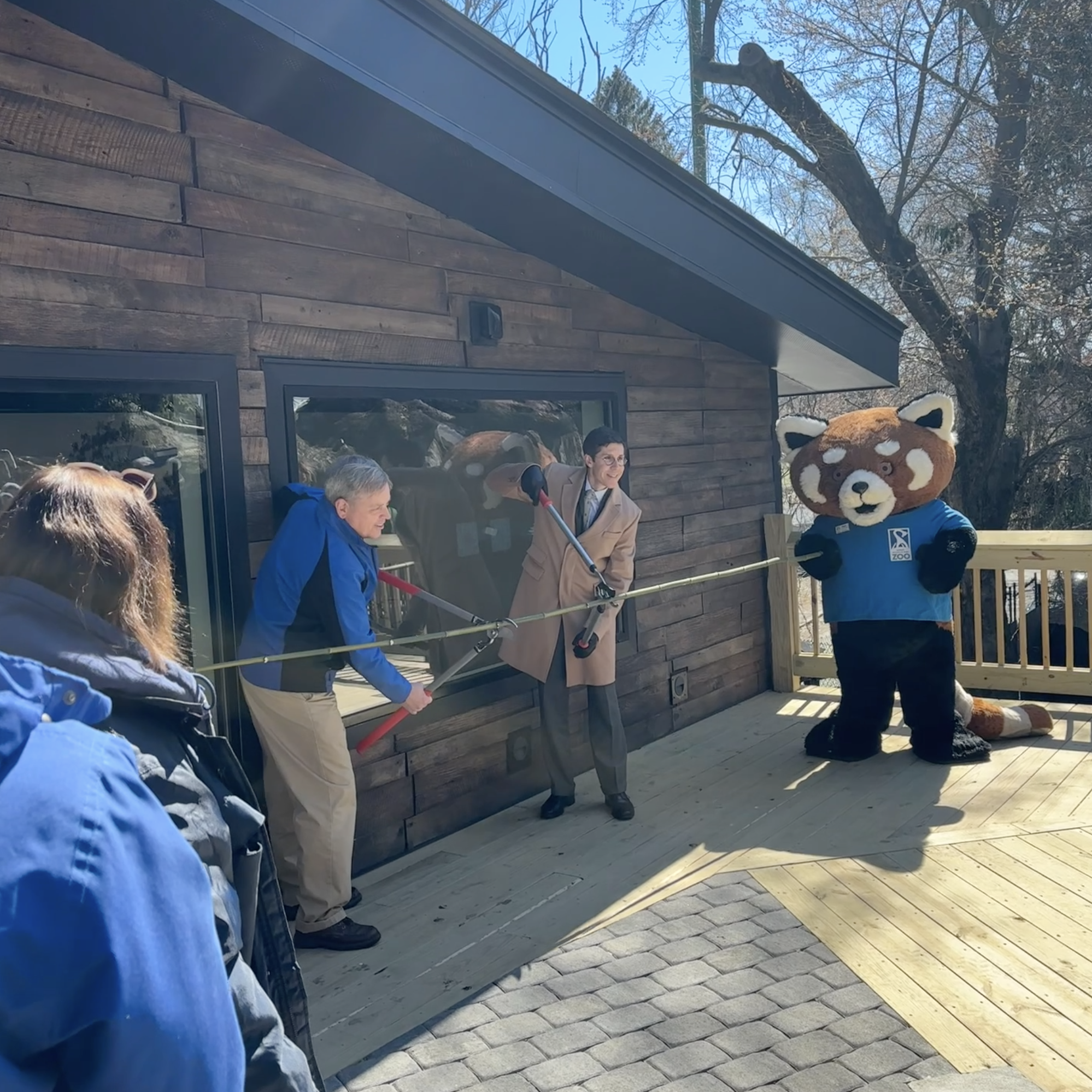 The Red Pandas are Back at Roger Williams Park Zoo - Rhode Island Monthly
