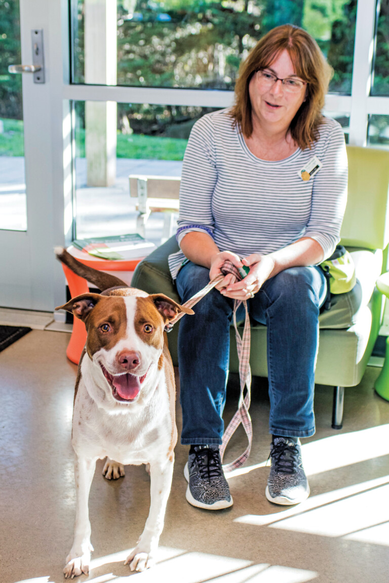 Get to Know Three Local Animal Rescues Helping to Secure Furever Homes ...