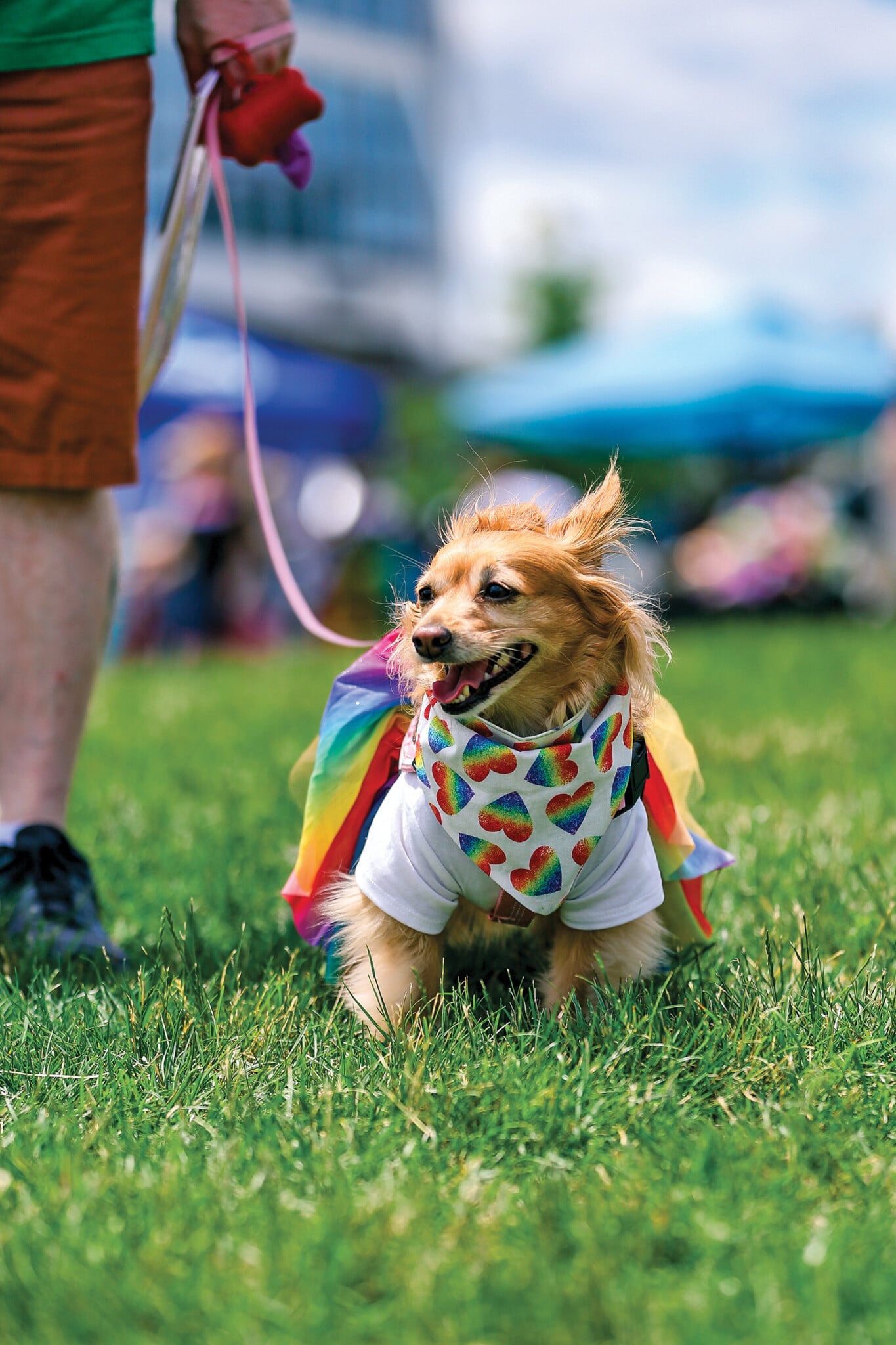 Inside This Year's Rhode Island Pride Celebration - Rhode Island Monthly