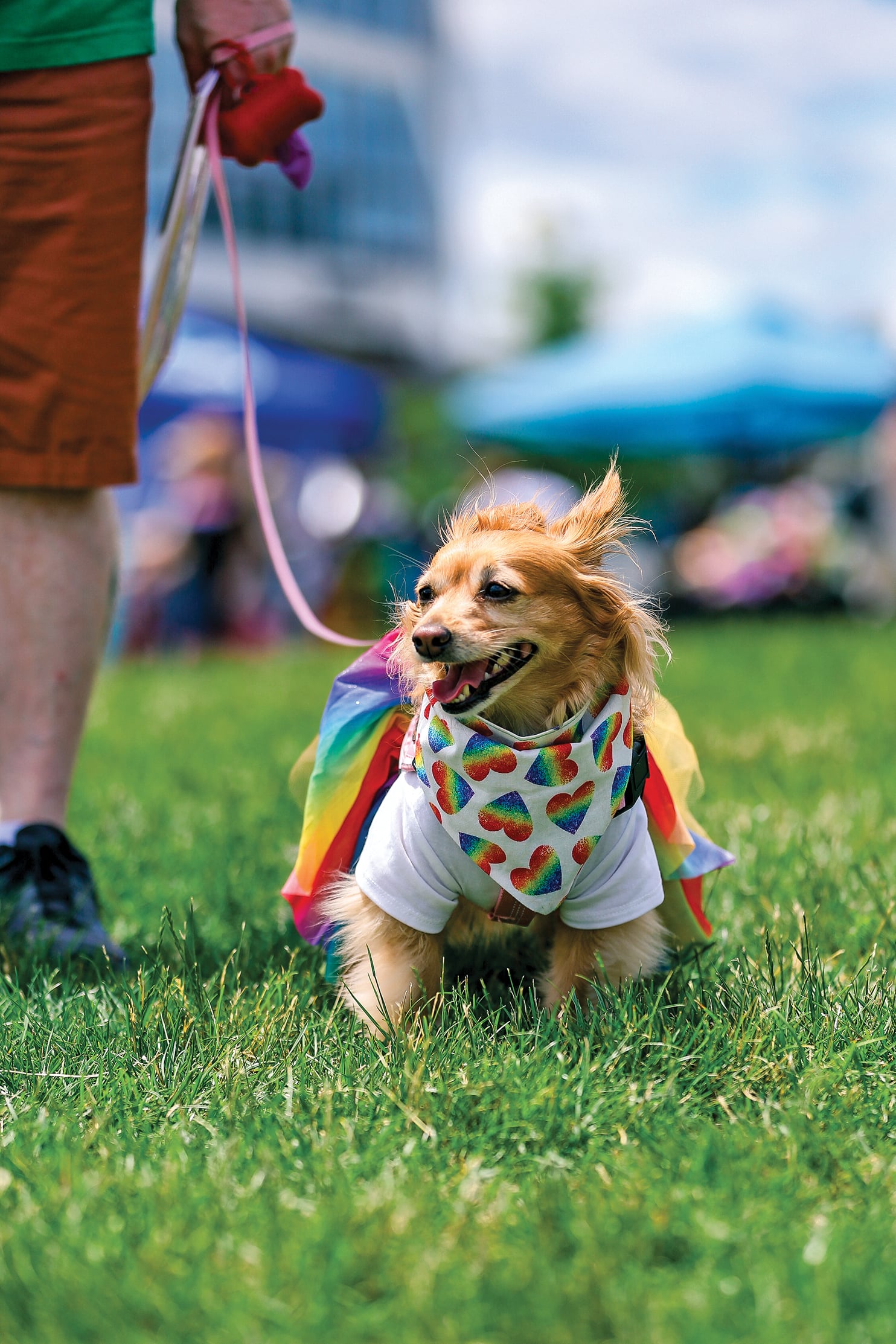 Inside This Year's Rhode Island Pride Celebration - Rhode Island Monthly