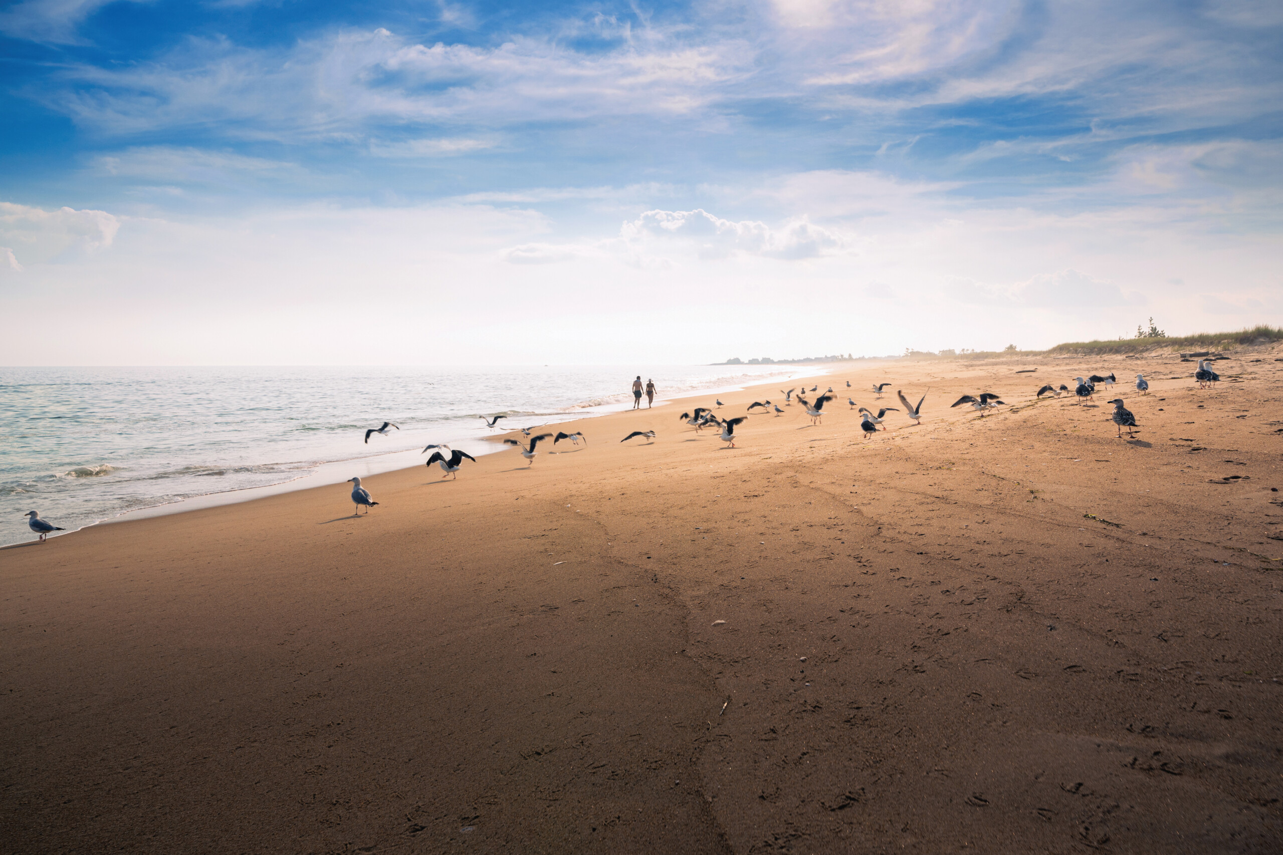 Explore 4 of the Ocean State's Hidden Beaches - Rhode Island Monthly