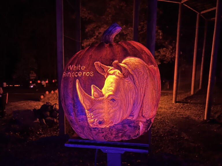 16 Great Playgrounds in Rhode Island - Rhode Island Monthly