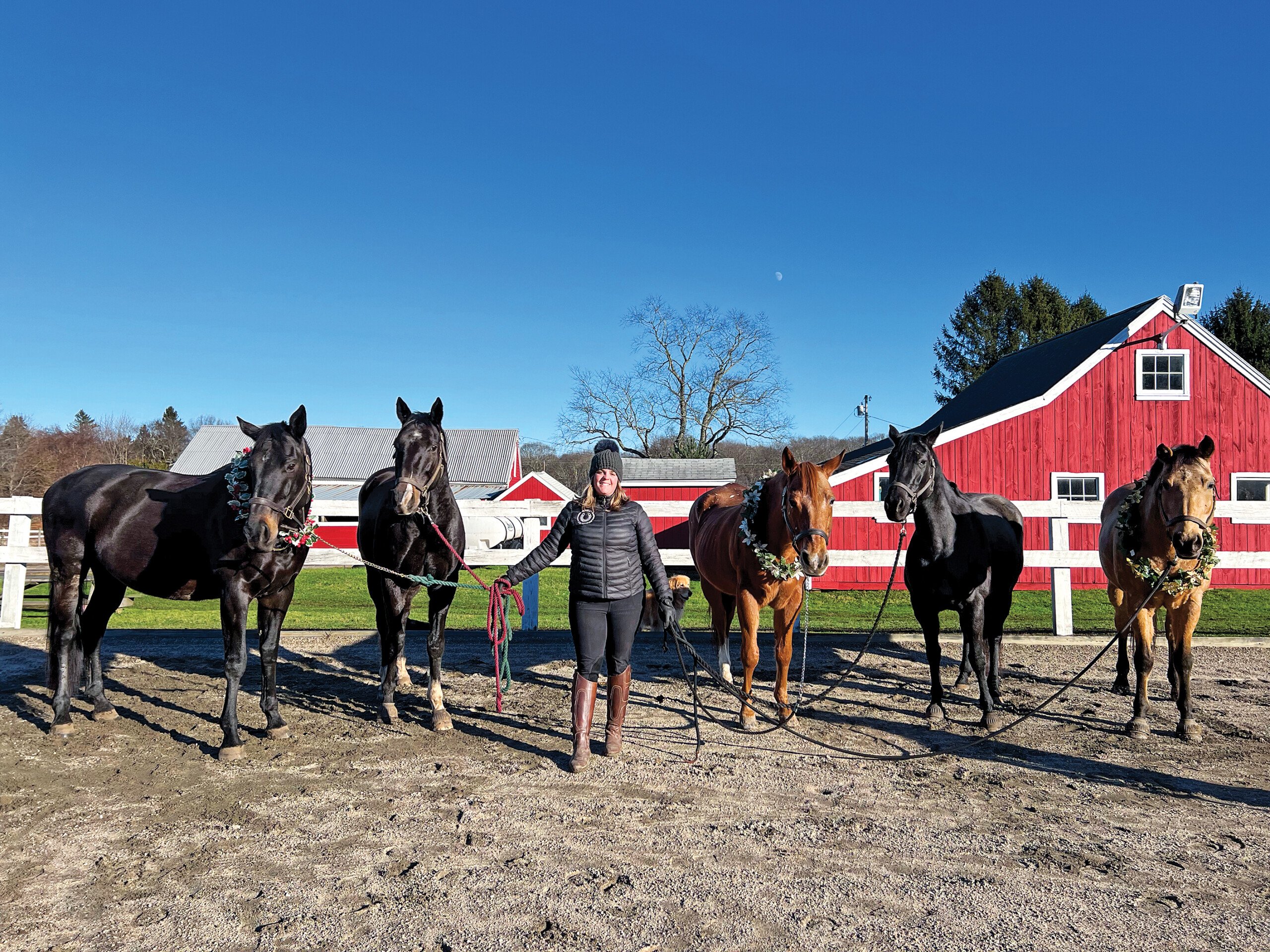 These Local Horse Farms are Top of the Crop - Rhode Island Monthly