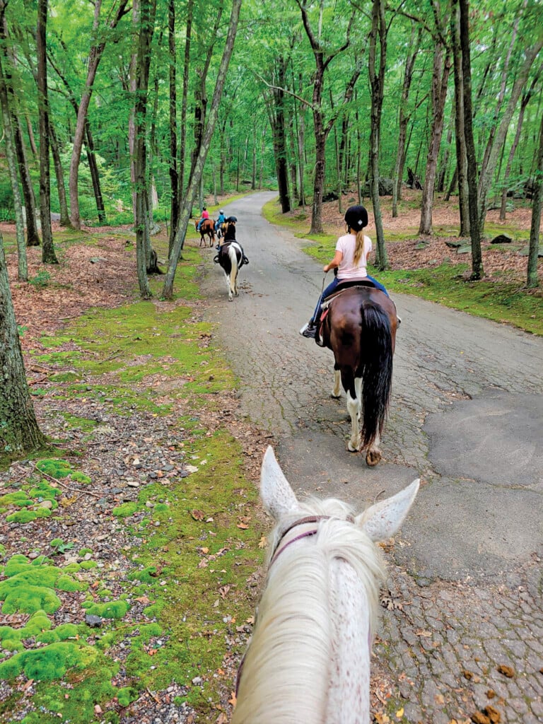 These Local Horse Farms are Top of the Crop - Rhode Island Monthly