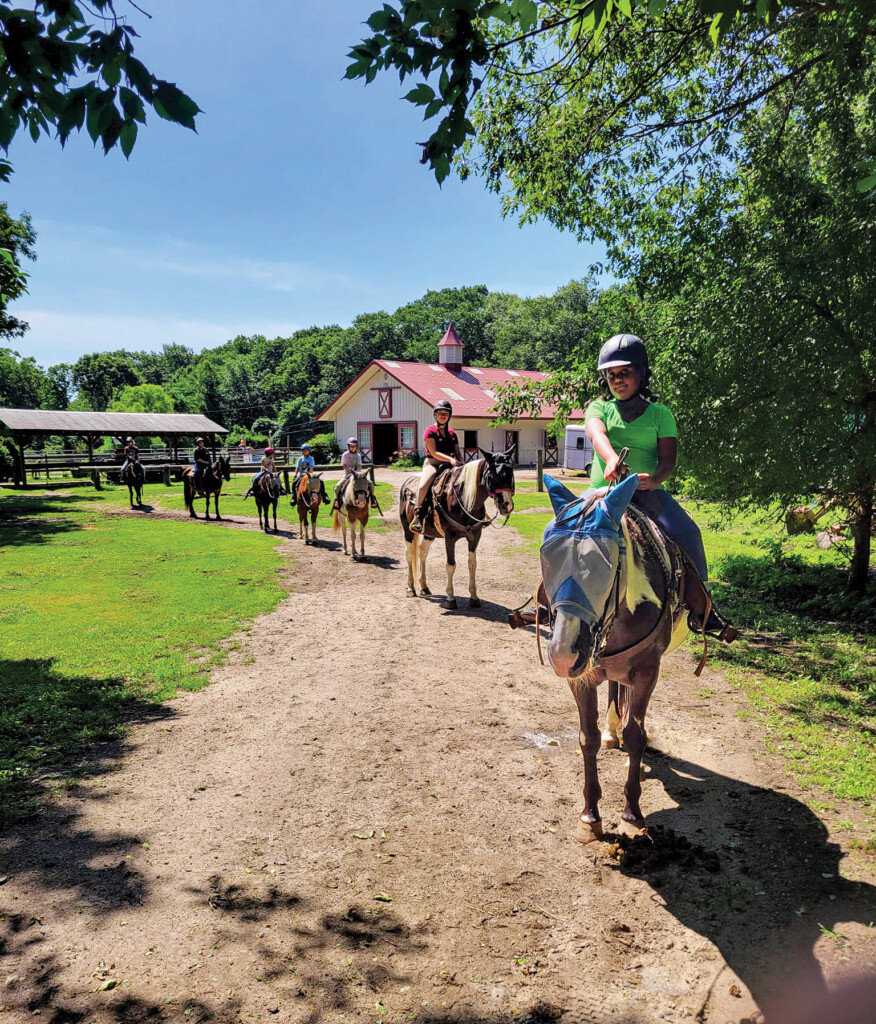 These Local Horse Farms are Top of the Crop - Rhode Island Monthly