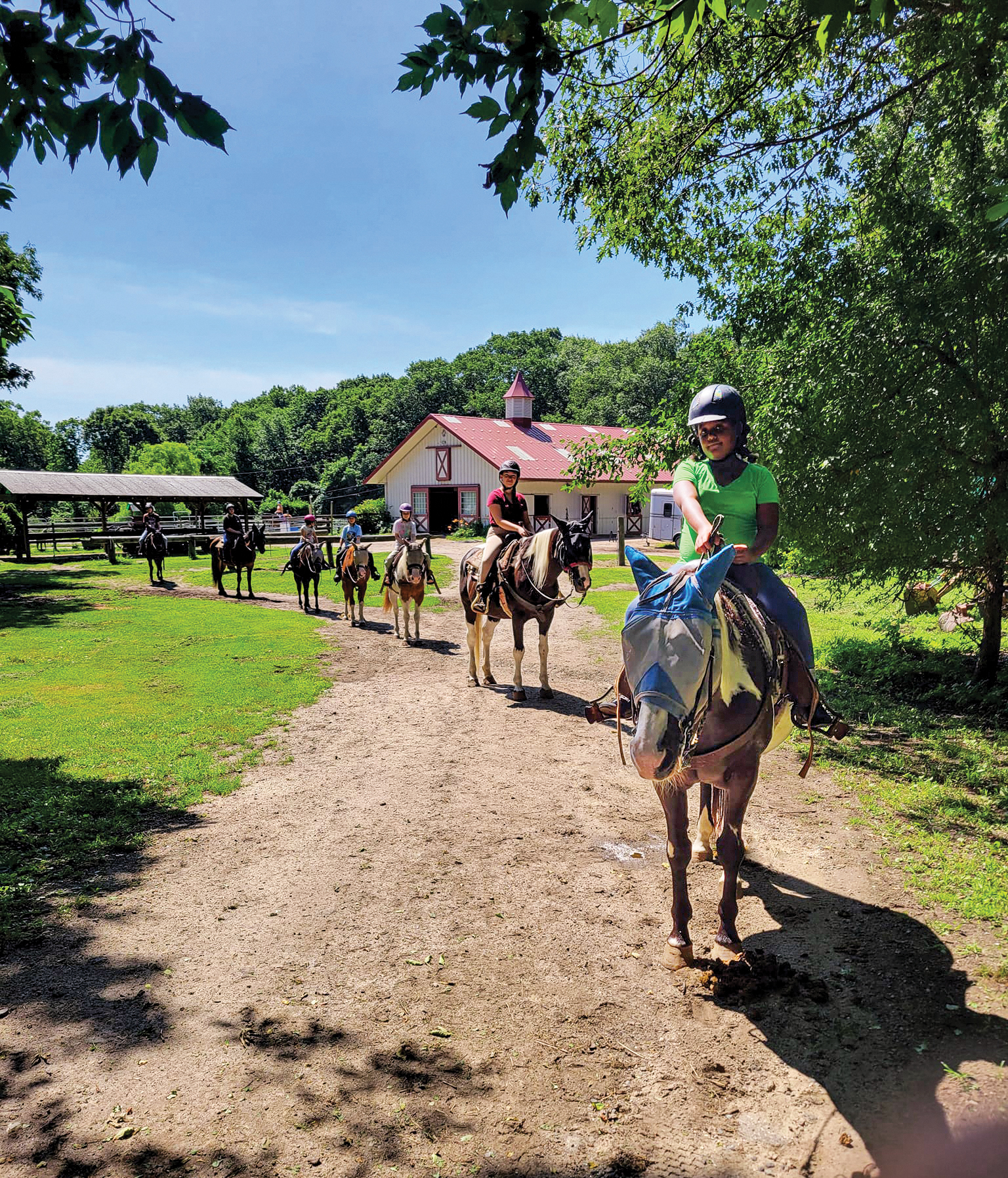 These Local Horse Farms are Top of the Crop - Rhode Island Monthly
