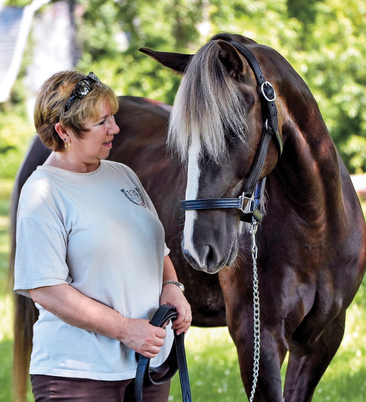 These Local Horse Farms are Top of the Crop - Rhode Island Monthly