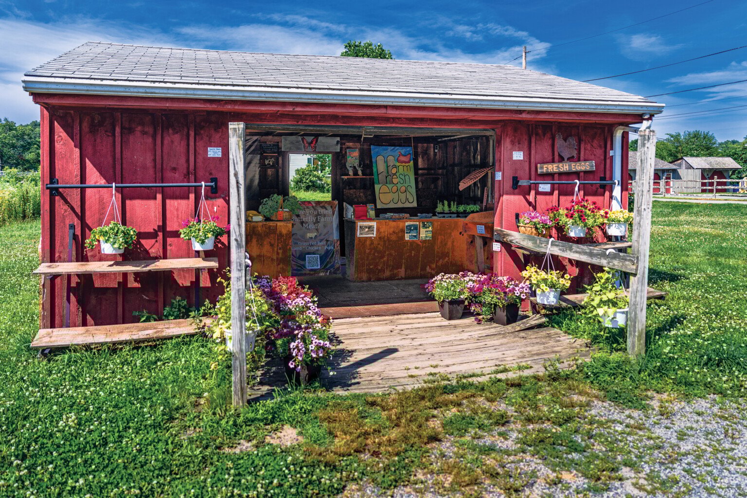 The Metamorphosis of Butterfly Farm - Rhode Island Monthly