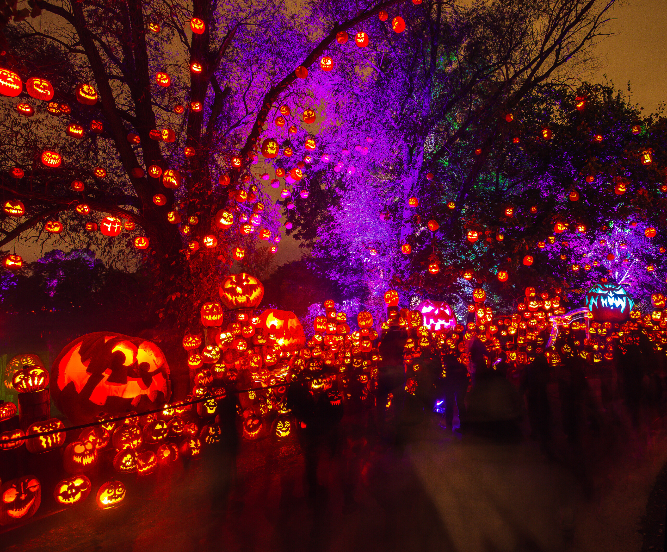 JOLS laughing tree - Rhode Island Monthly