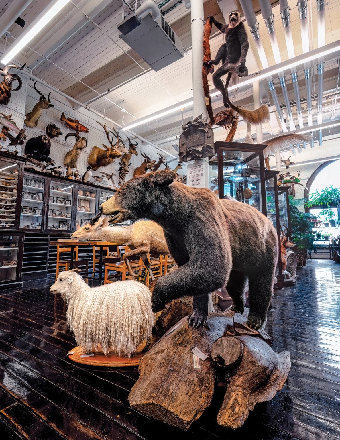 Exploring the RISD Nature Lab - Rhode Island Monthly