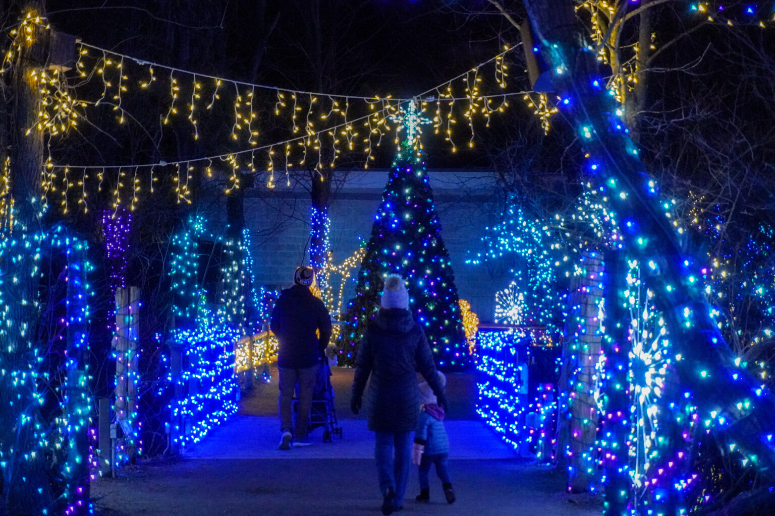 Five Can't-Miss Events this Week in Rhode Island - Rhode Island Monthly