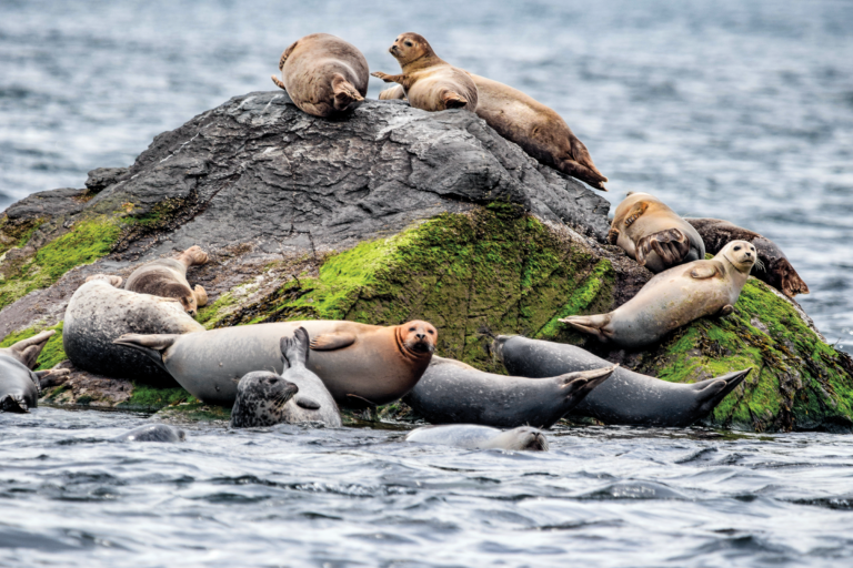 32 Fun Things to Do in Rhode Island This March - Rhode Island Monthly