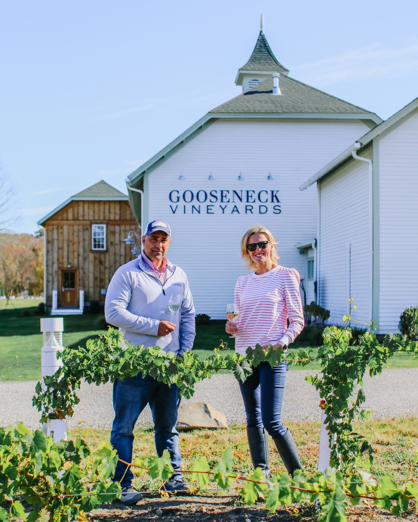 Gooseneck Vineyards Enjoys Spacious New Location - Rhode Island Monthly