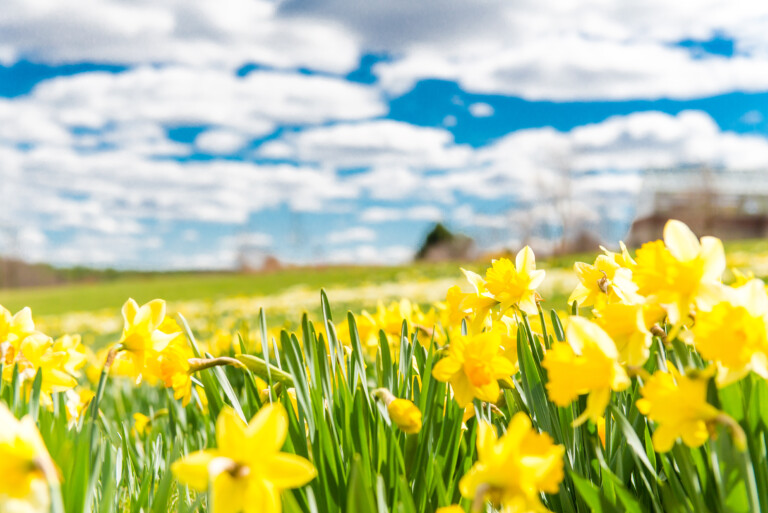 Track 15 Food Hall Set to Open in February with 7 Food Vendors - Rhode ...