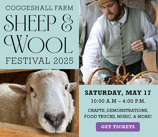 6 Rhode Island Candy Shops That Will Satisfy Your Sweet Tooth - Rhode ...