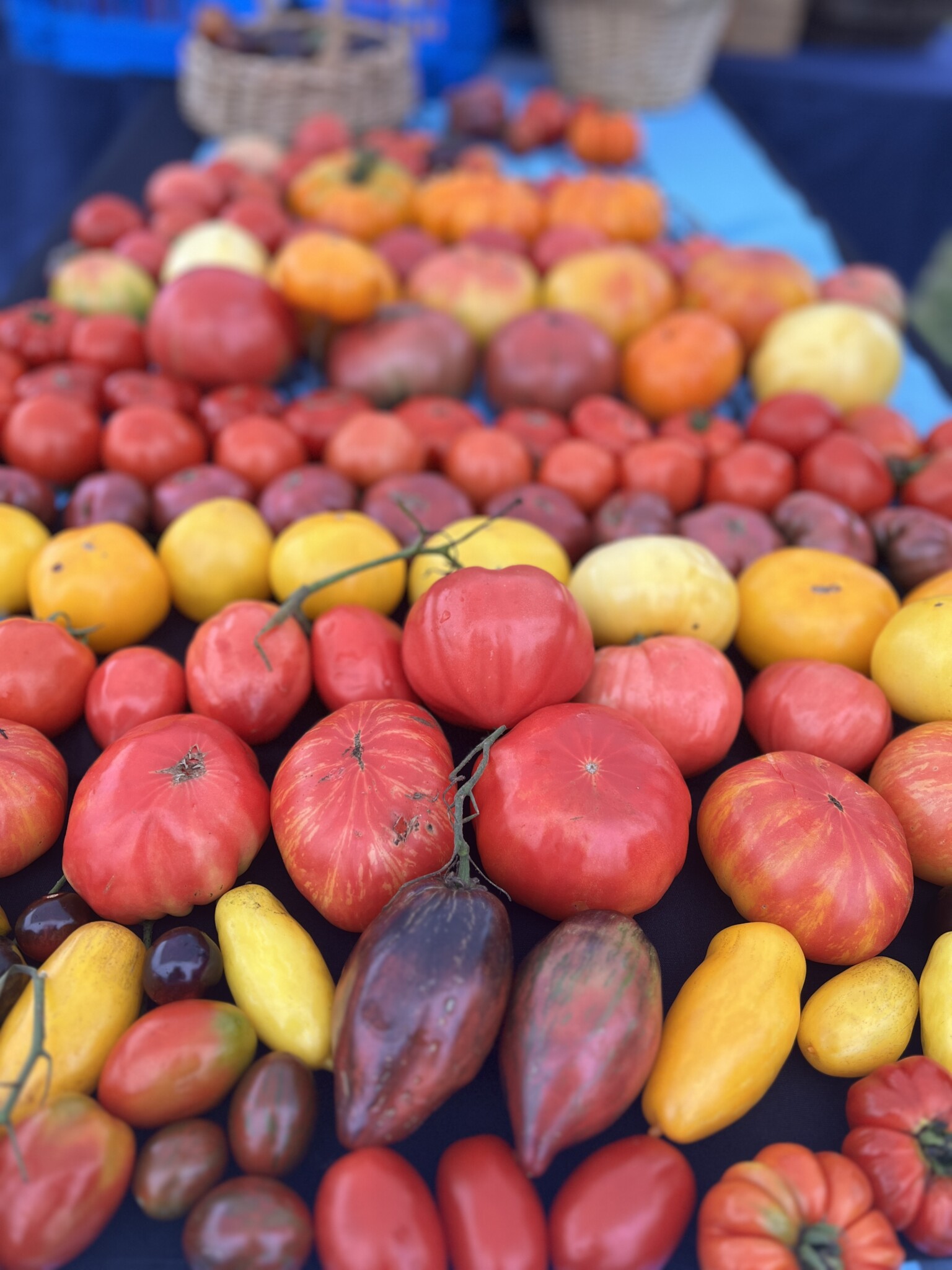 Ashawaug Farm Preserves Indigenous Crops and Crafts - Rhode Island Monthly