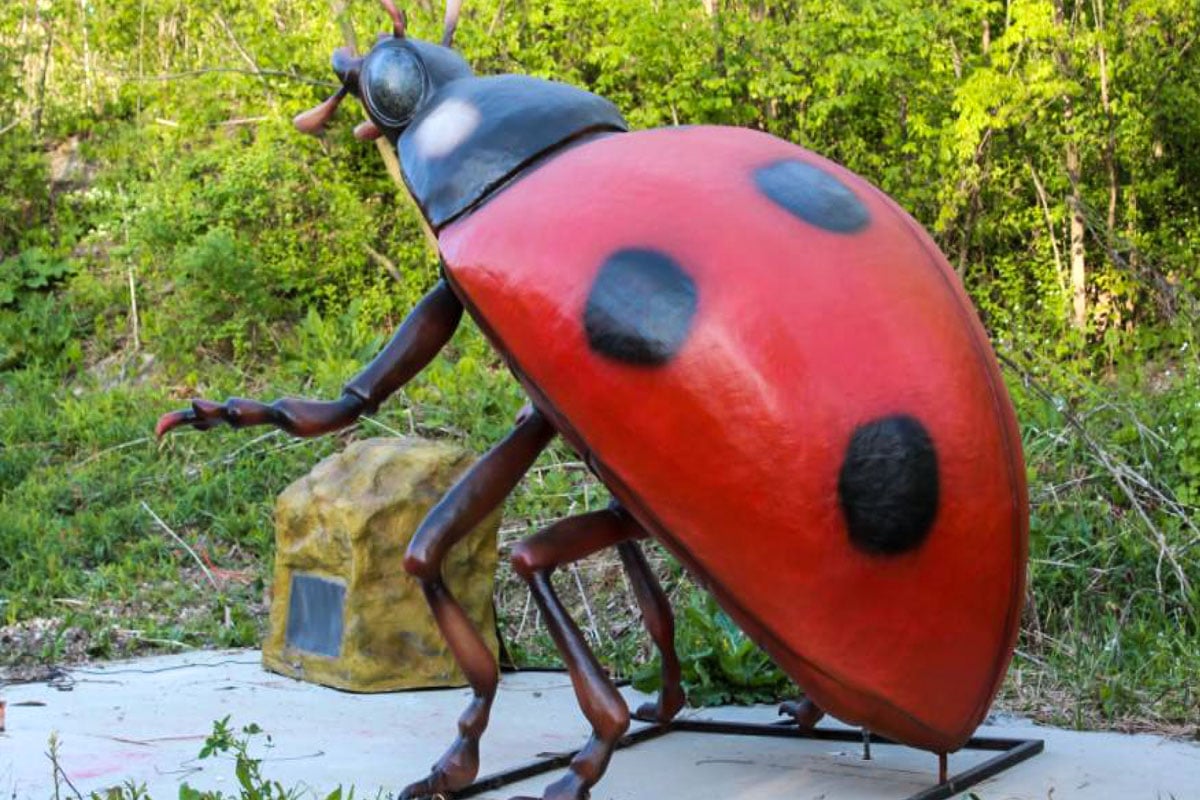 Giant Bugs are Taking Over Roger Williams Park Zoo This Spring - Rhode ...