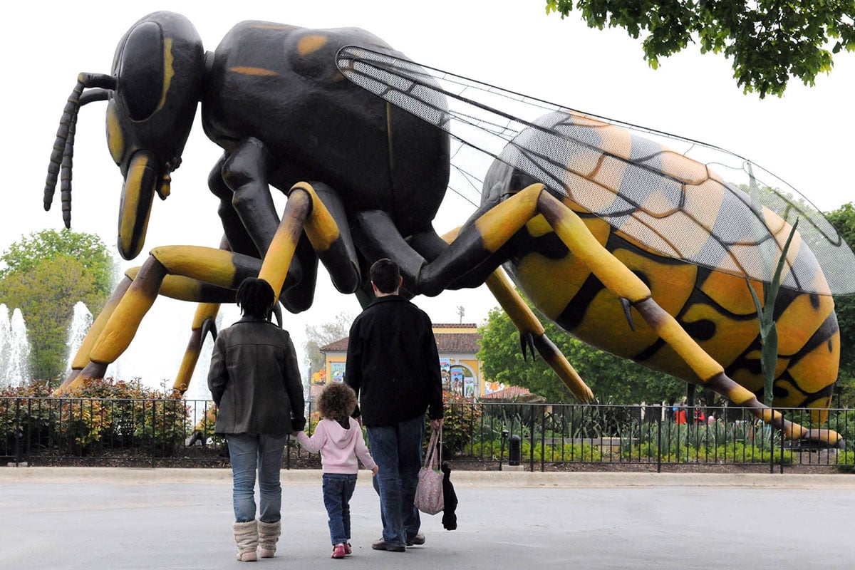 Giant Bugs are Taking Over Roger Williams Park Zoo This Spring - Rhode ...