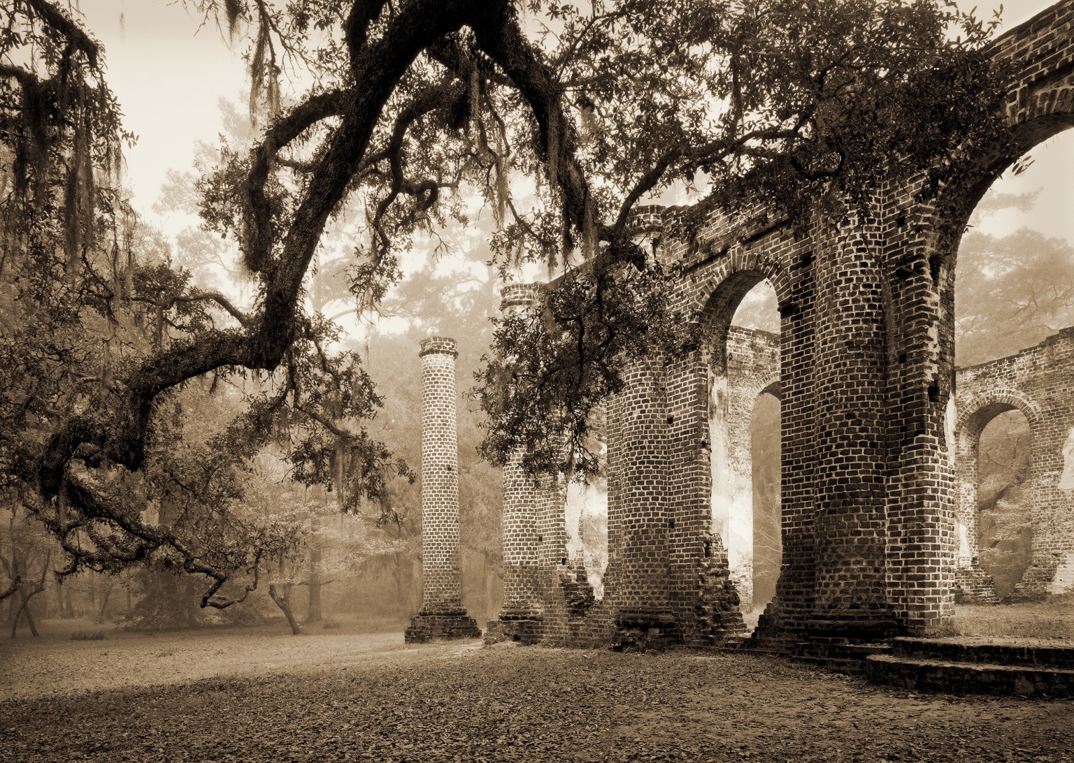 13 of the Greatest Southern Photographers | South Magazine