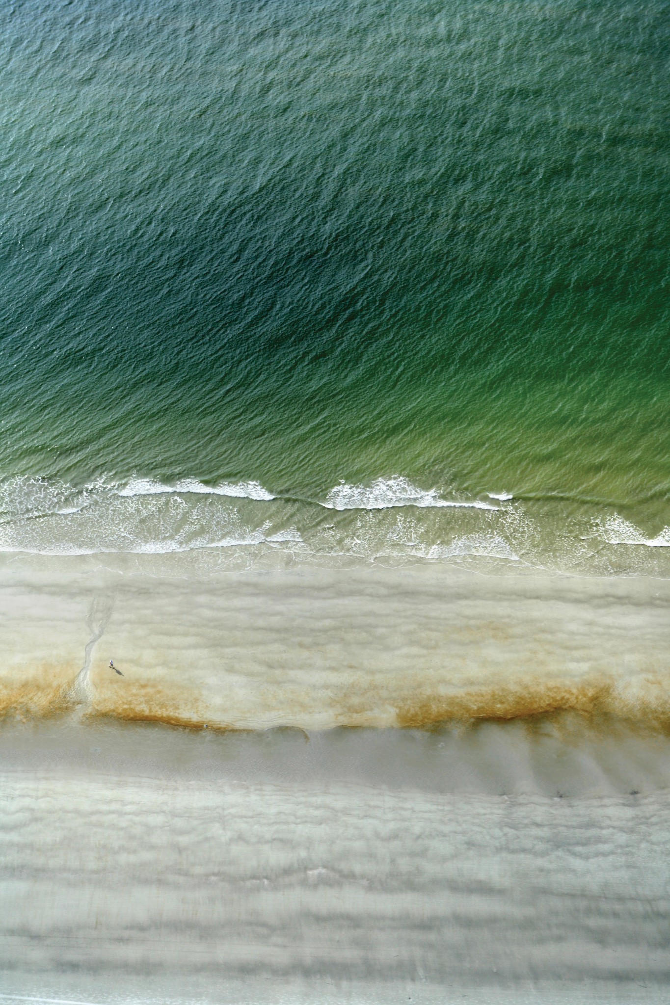 13 of the Greatest Southern Photographers | South Magazine