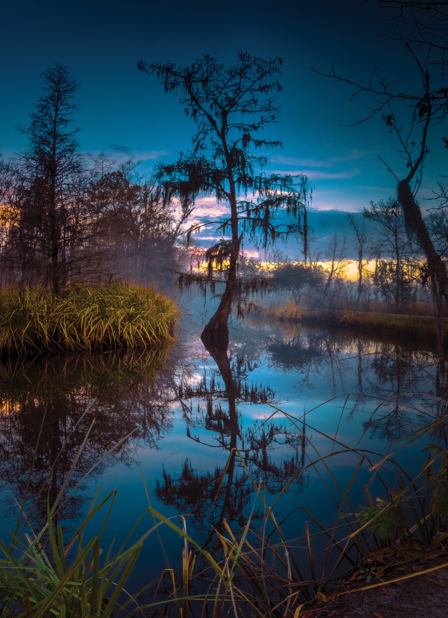 13 of the Greatest Southern Photographers | South Magazine