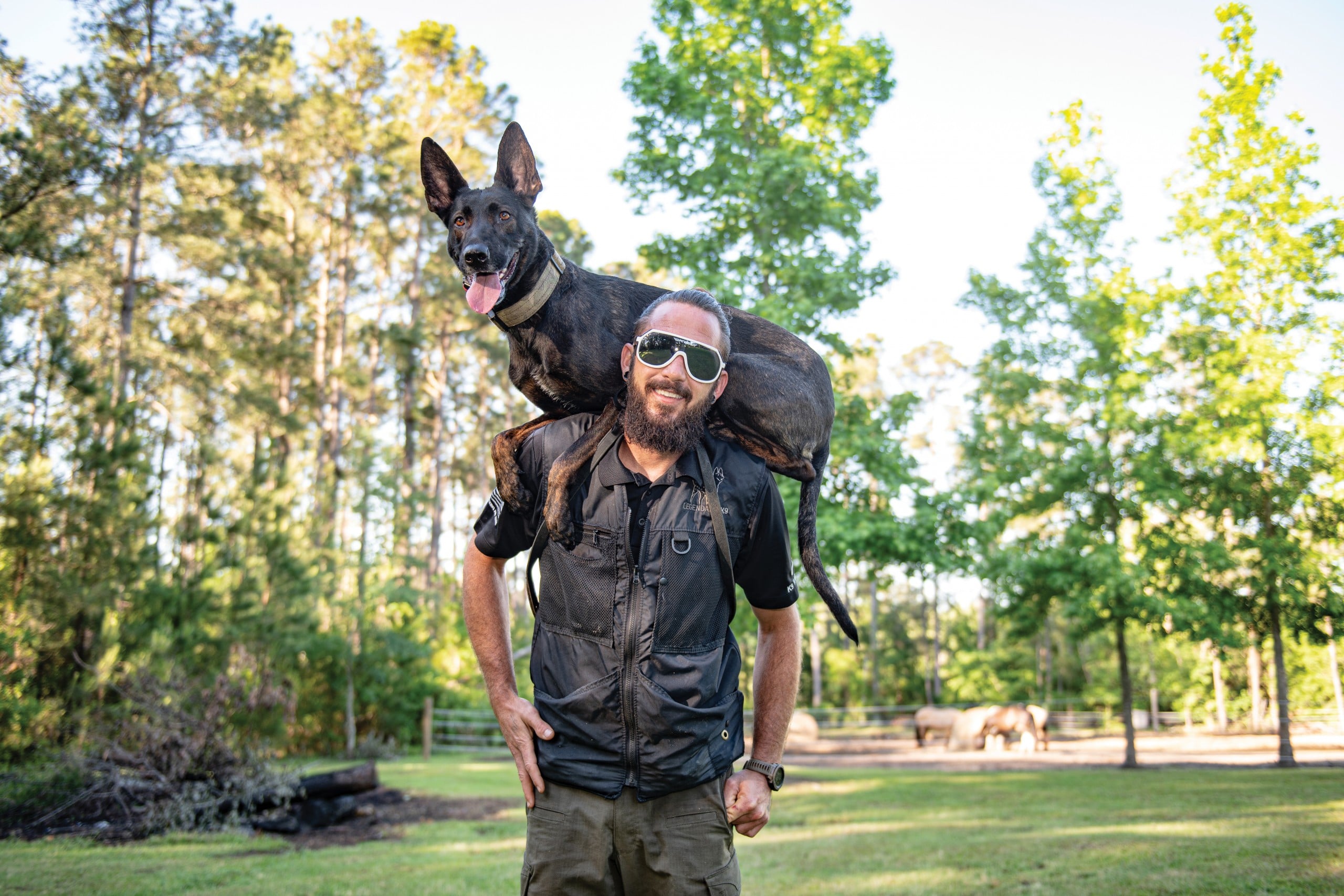 Legendary K9s Are Made, Not Born | South Magazine