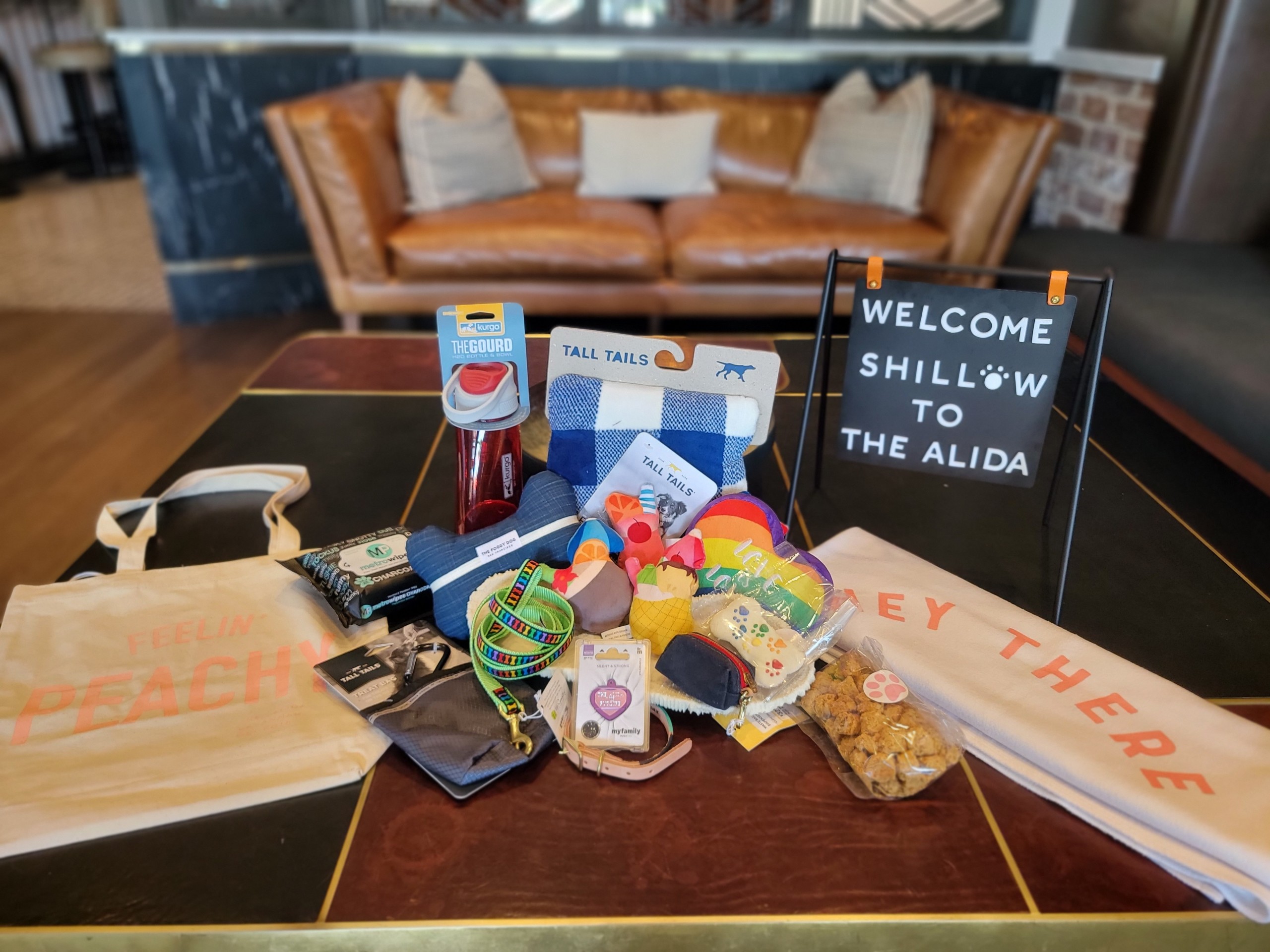 From Wags to Riches: Rescue Dog Pampered at The Alida | South Magazine