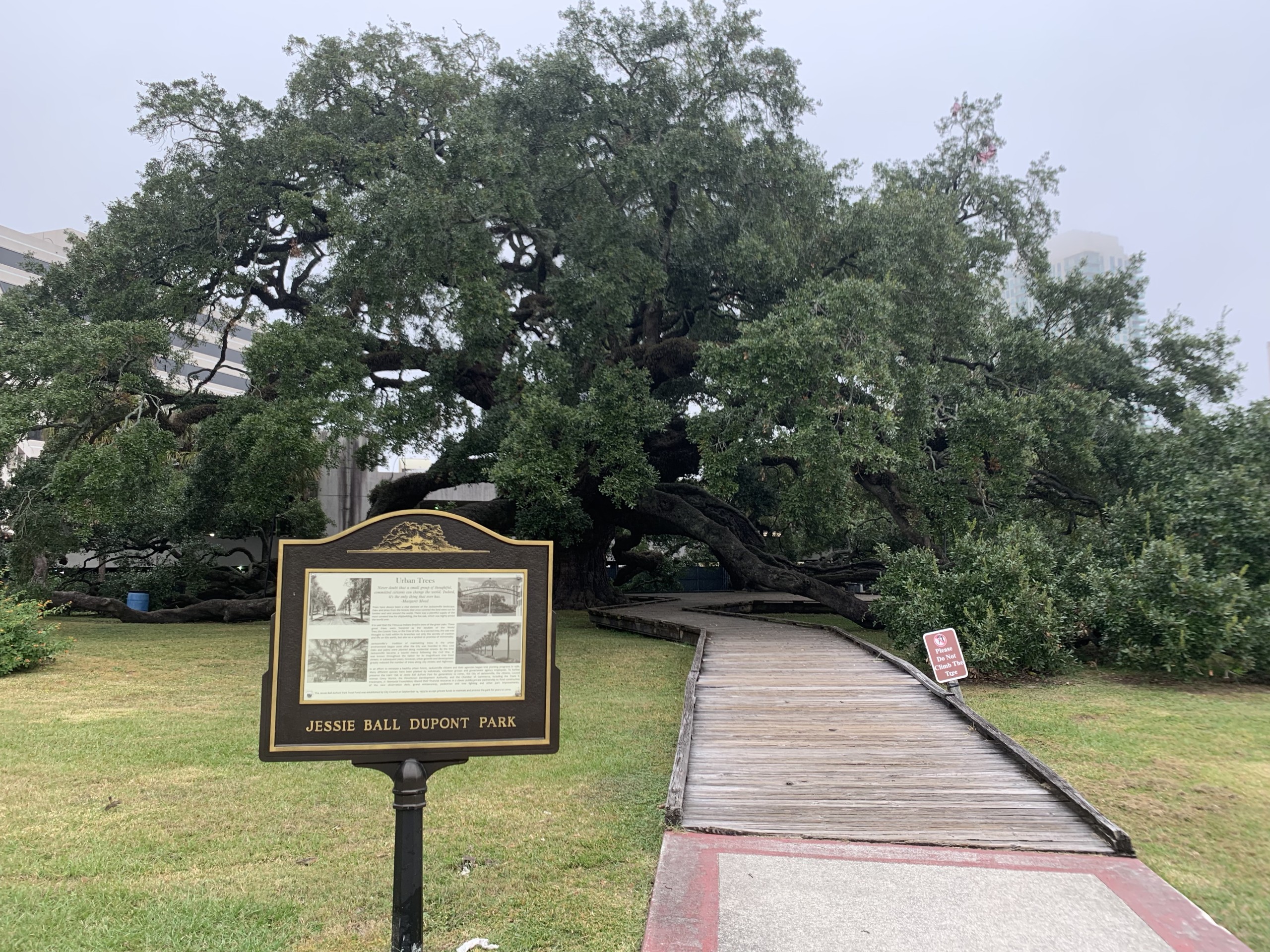 “Y’all Gonna Lose!” The War for the Oar | South Magazine