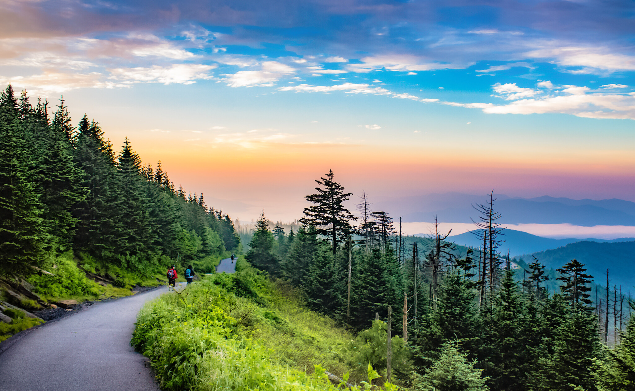 Spa Day or Blue Ridge Parkway? DO BOTH. | South Magazine