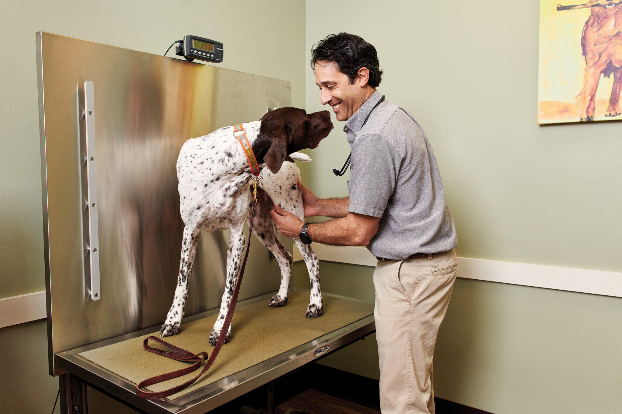 Where smart pets take their people™ | South Magazine