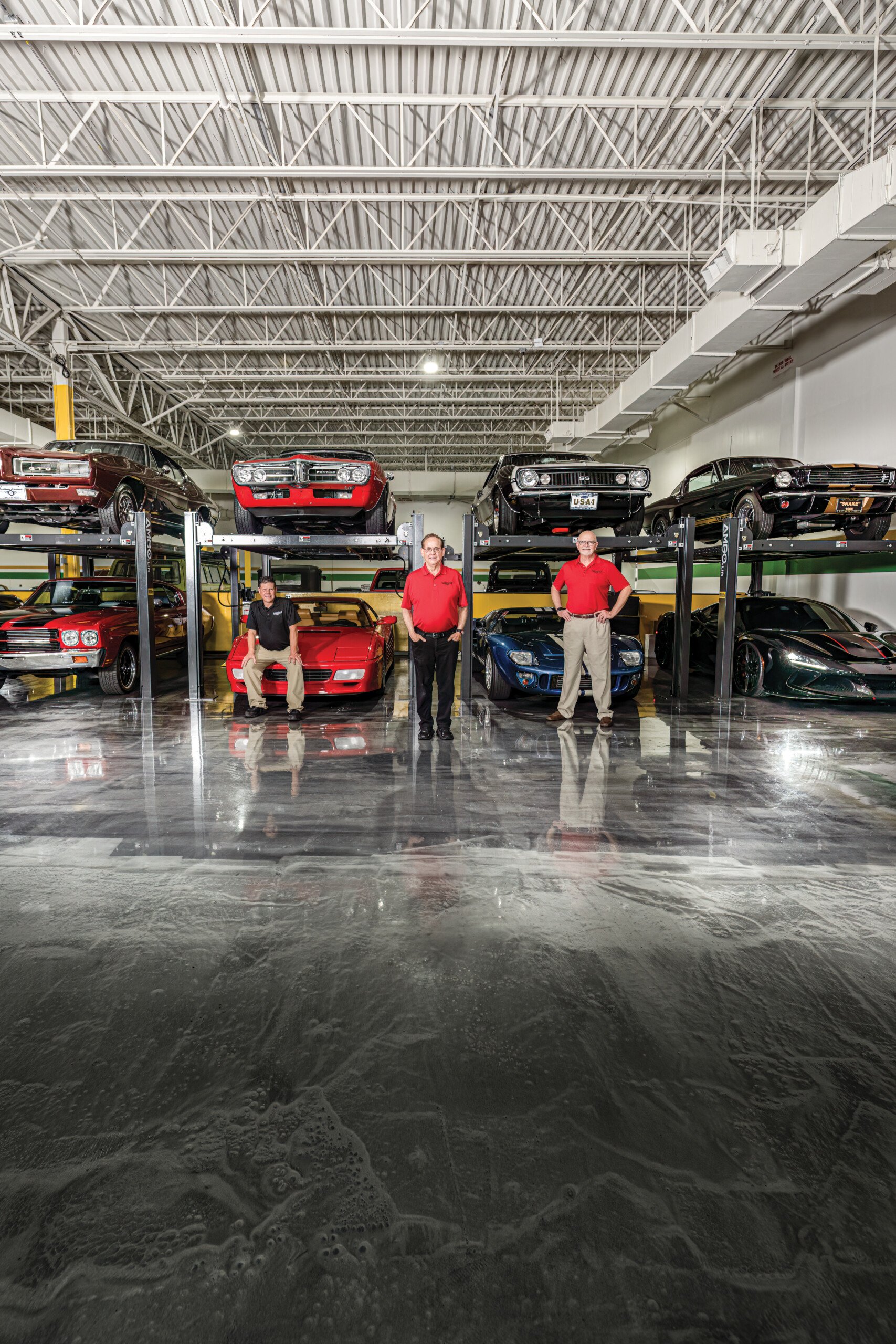 Brooklands Savannah: | South Magazine