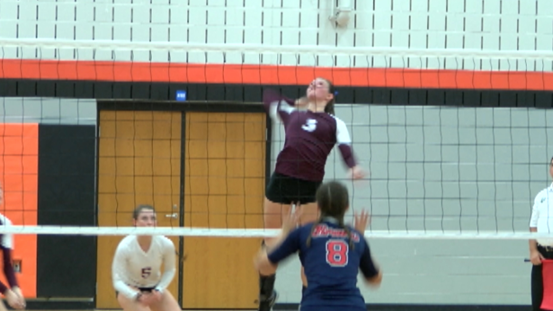 Lady Muskies and Lady Dawgs dominate All-MVL volleyball teams - WHIZ ...